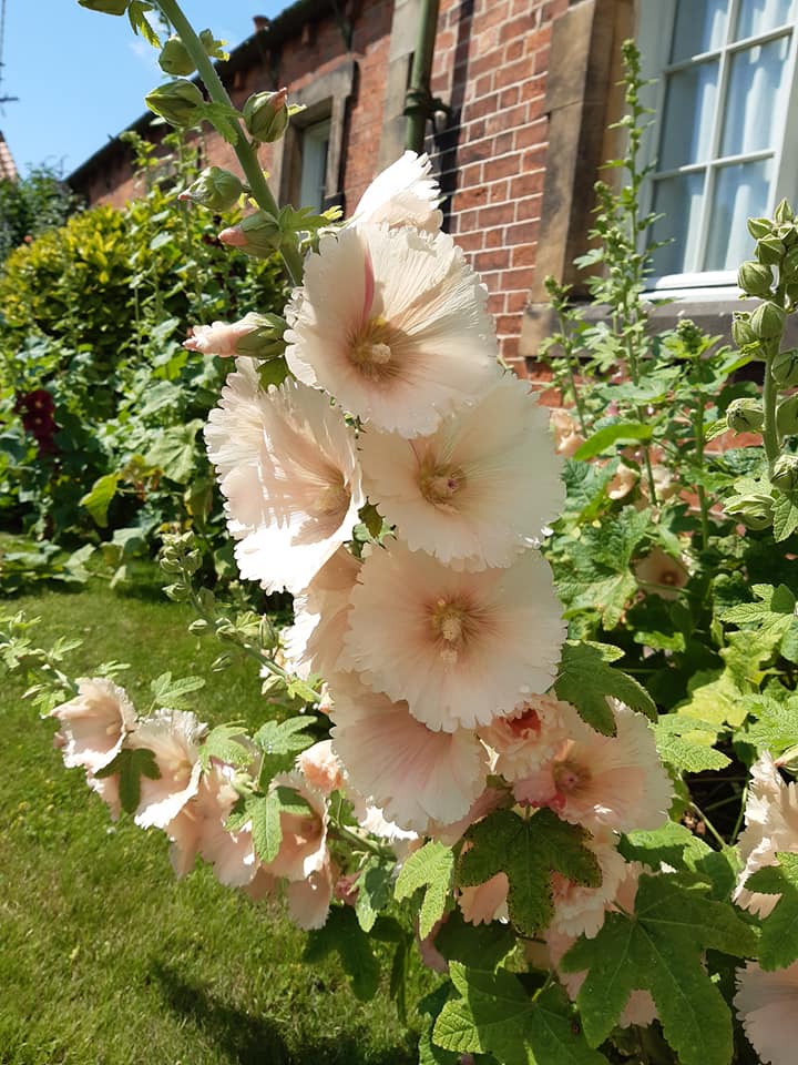 The Inside Out Museum Tour - Ripon Together