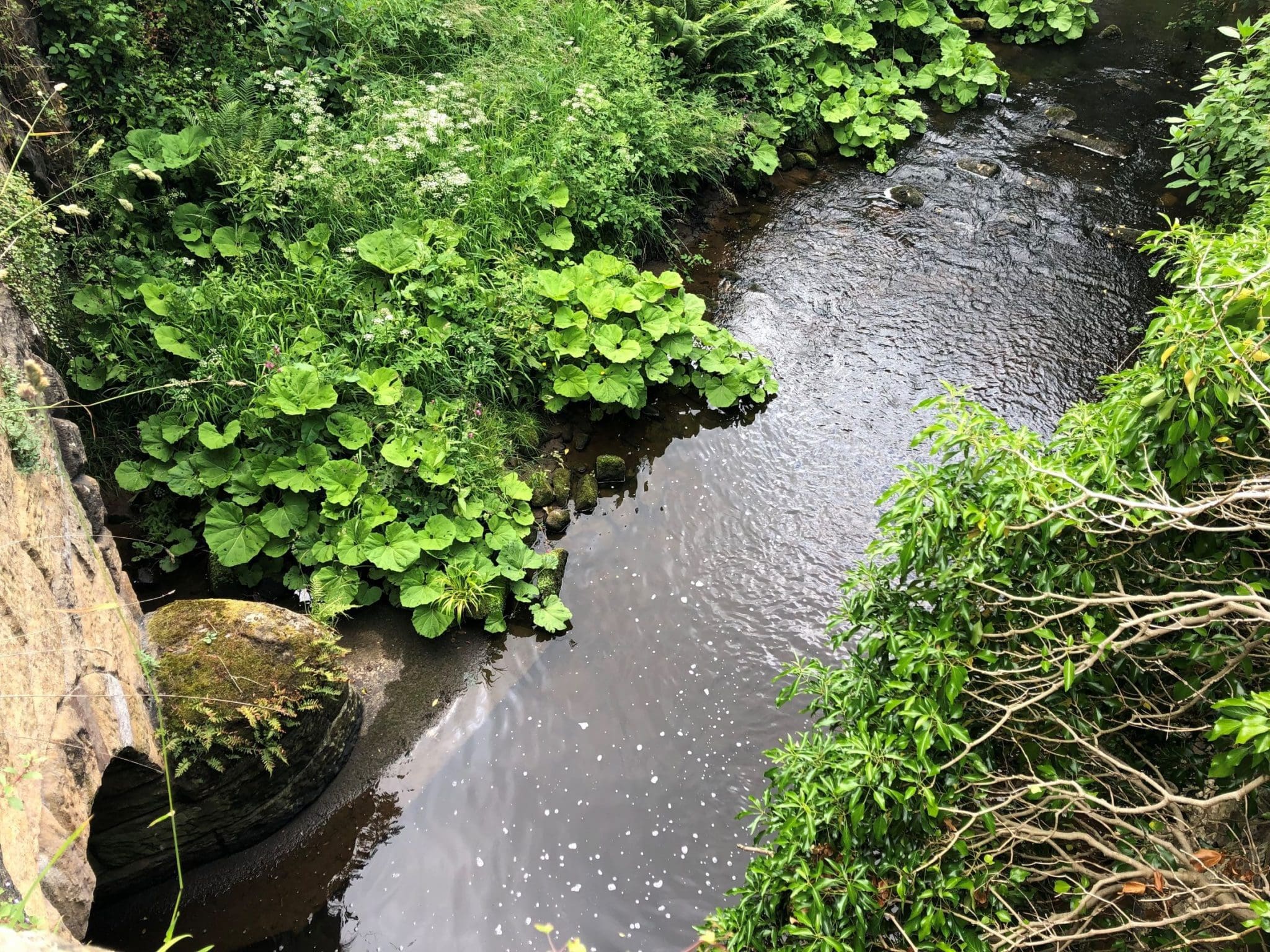 Skell Valley Celebration - Ripon Together