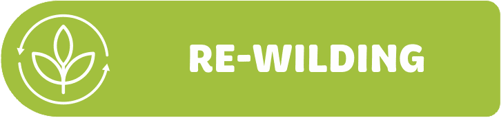 Green Fair - Ripon Together