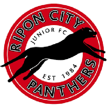 Summer Fun Fest - Ripon Together